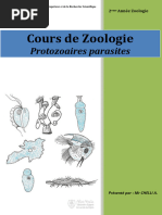 Acinus - Définition Et Explications - AquaPortail | PDF | Plantes ...