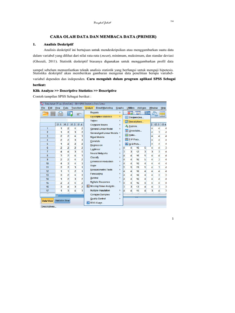 Panduan Olah Data dan SPSS | PDF