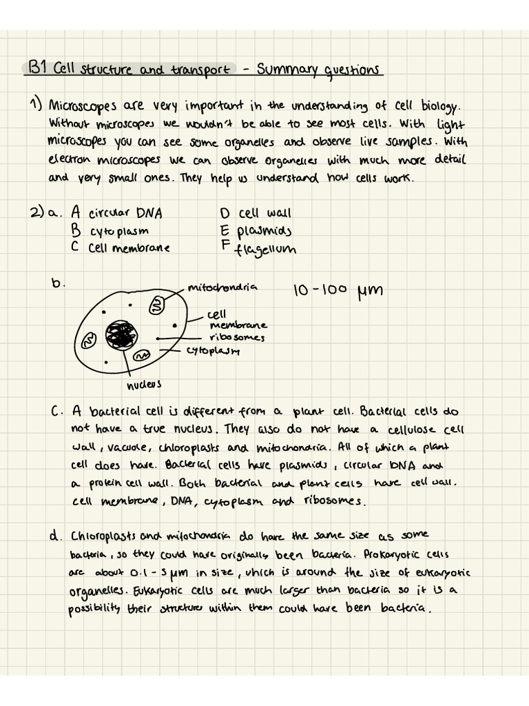 Biology Questions | PDF