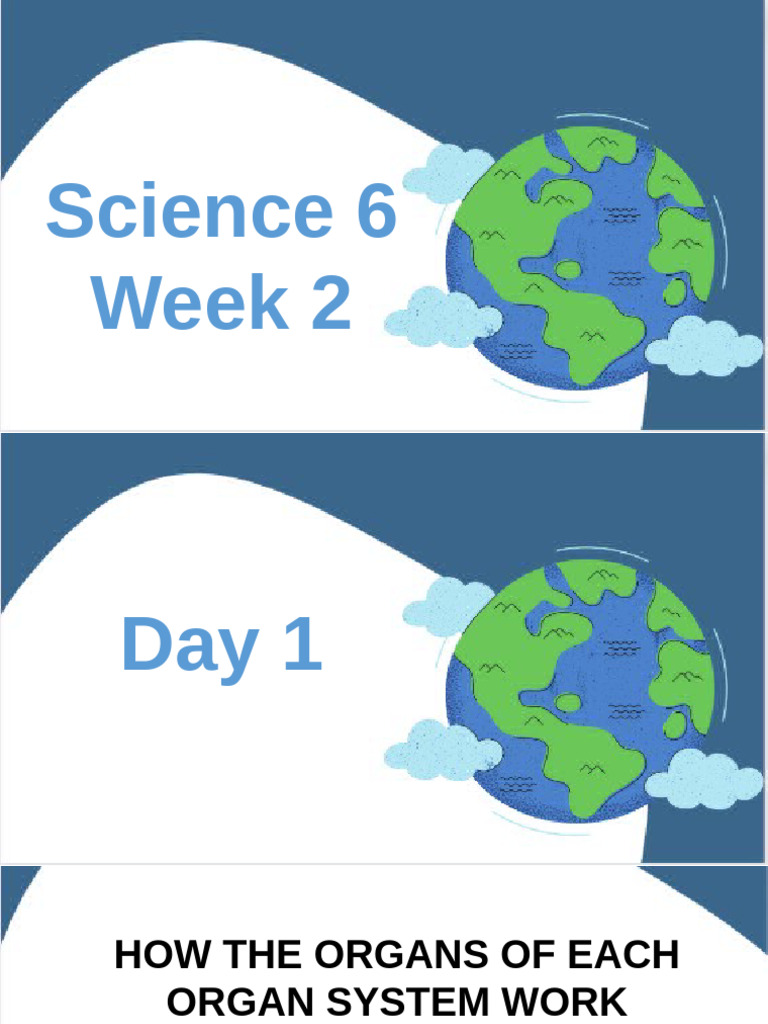Sci 6 Q2 Week 2 | PDF | Respiratory Tract | Central Nervous System