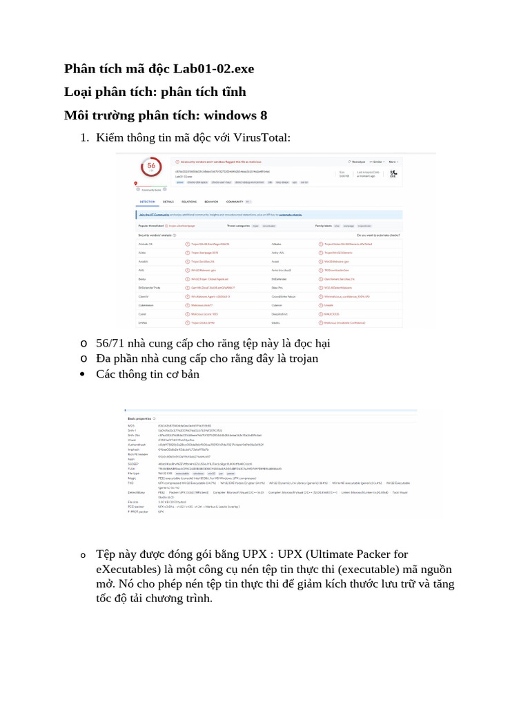 Phân Tích Mã Đ C Lab01-02 | PDF