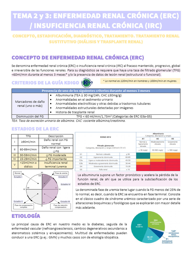 TEMA 2 y 3 - Enfermedad Renal Crónica (ERC) | PDF | Enfermedad renal ...