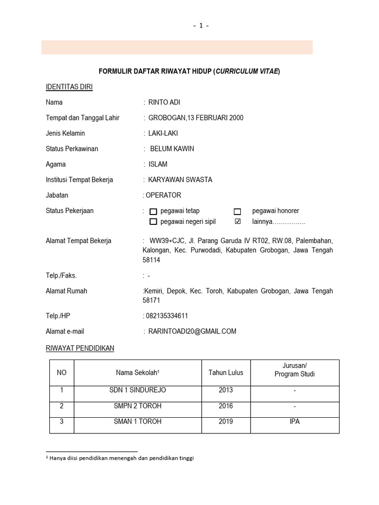 CV Rinto Adi: Data Pribadi dan Pendidikan | PDF