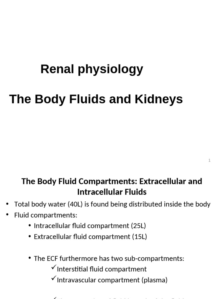 Understanding Renal Physiology and Fluid Balance | PDF | Kidney ...