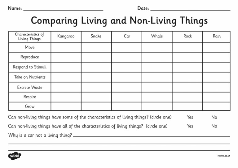 AU T2 E 281 Comparing Living and Non Living Things Worksheet | PDF