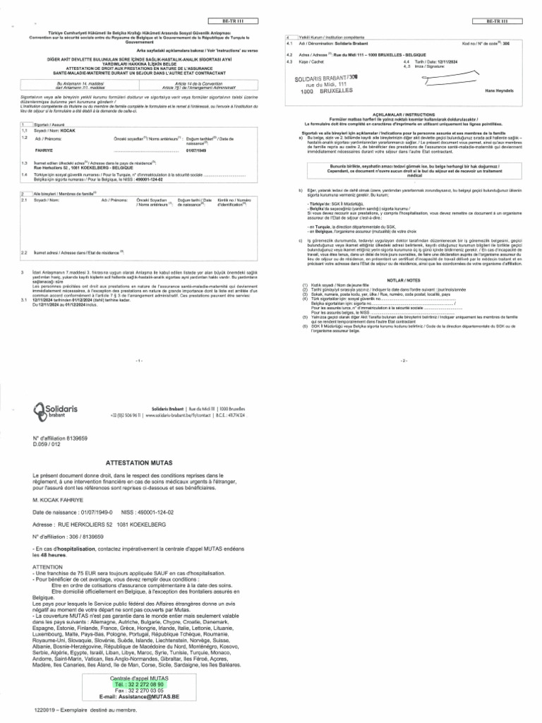 Fiery Color - 010 | PDF