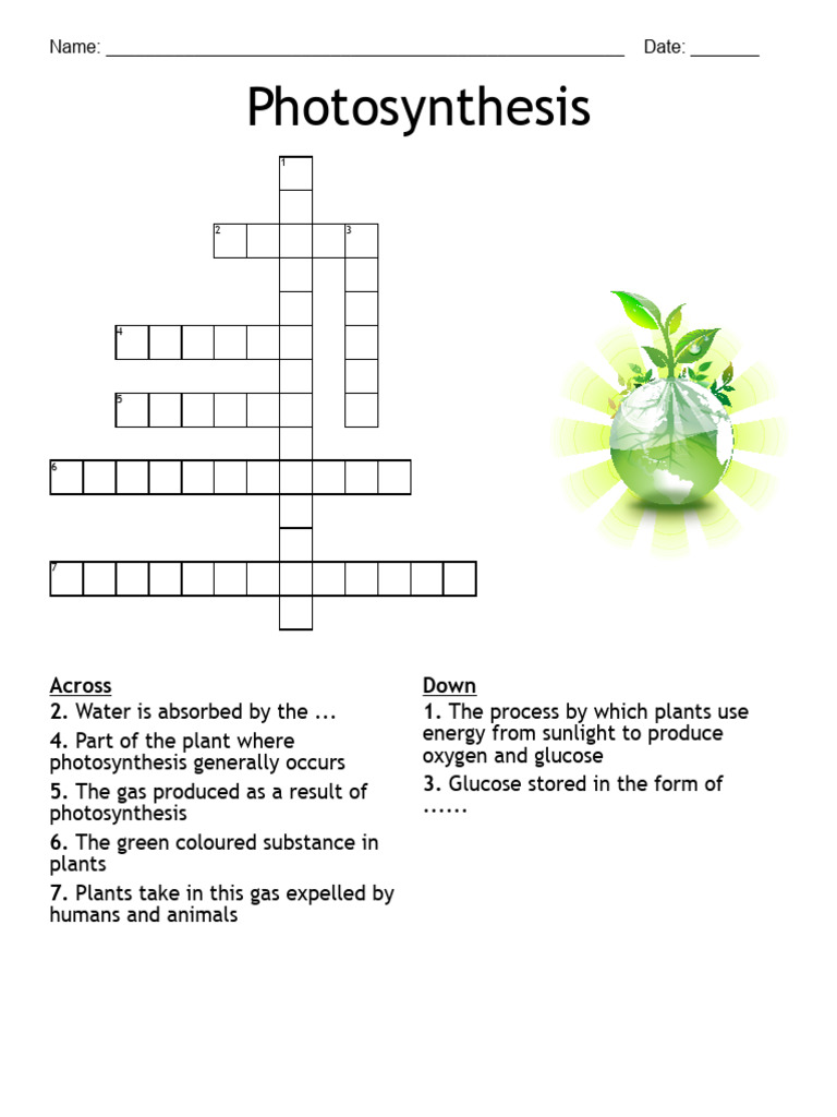 Photosynthesis Crosswords | PDF | Wellness | Science & Mathematics