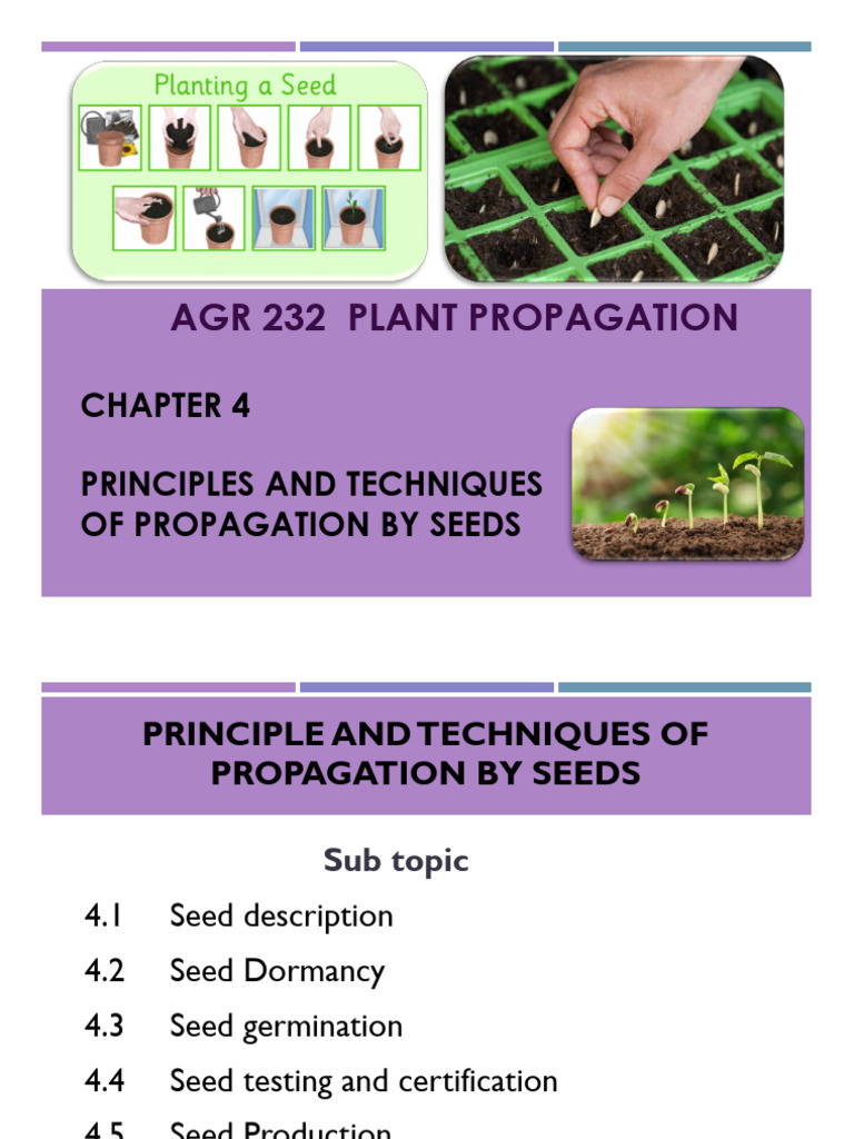 Seed Propagation Principles and Techniques | PDF | Seed | Germination