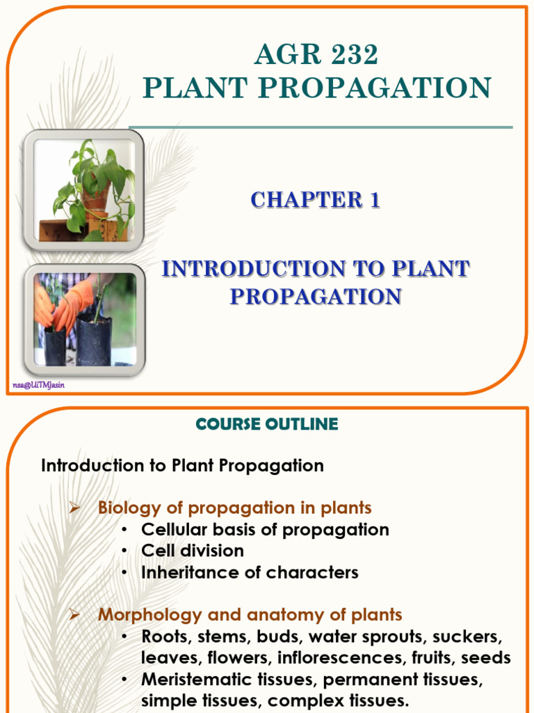 Introduction to Plant Propagation | PDF | Meiosis | Mitosis