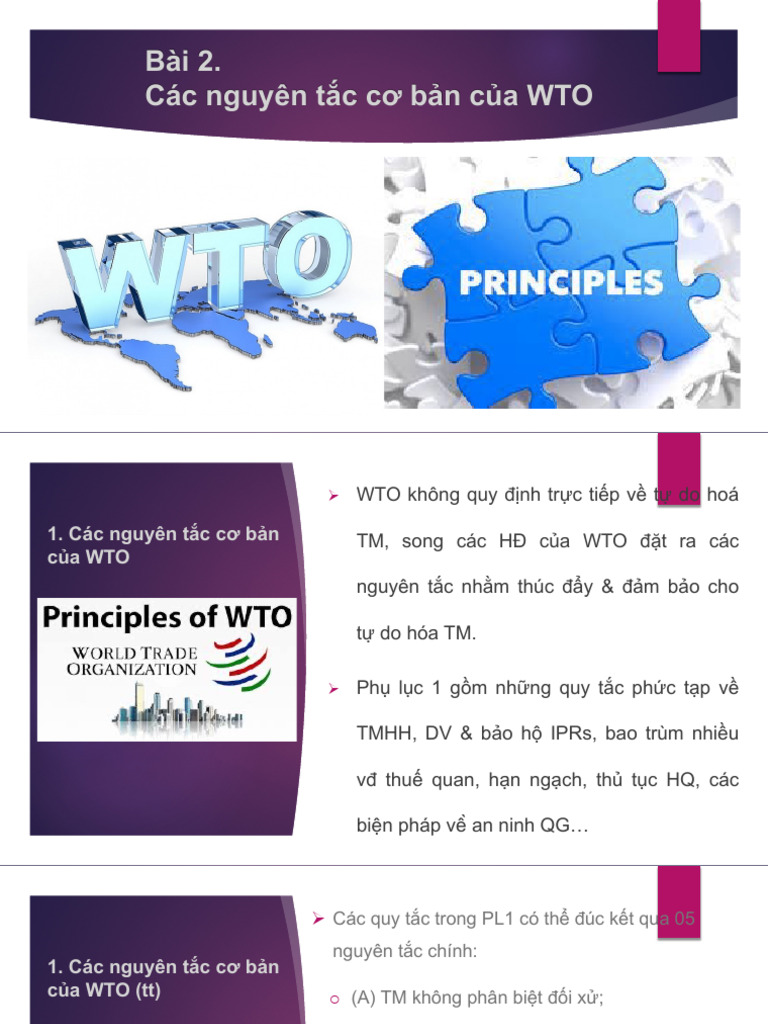 BaÌ I 2. Cac Nguyeì N Taì Ì C Coì Baì N WTO | PDF