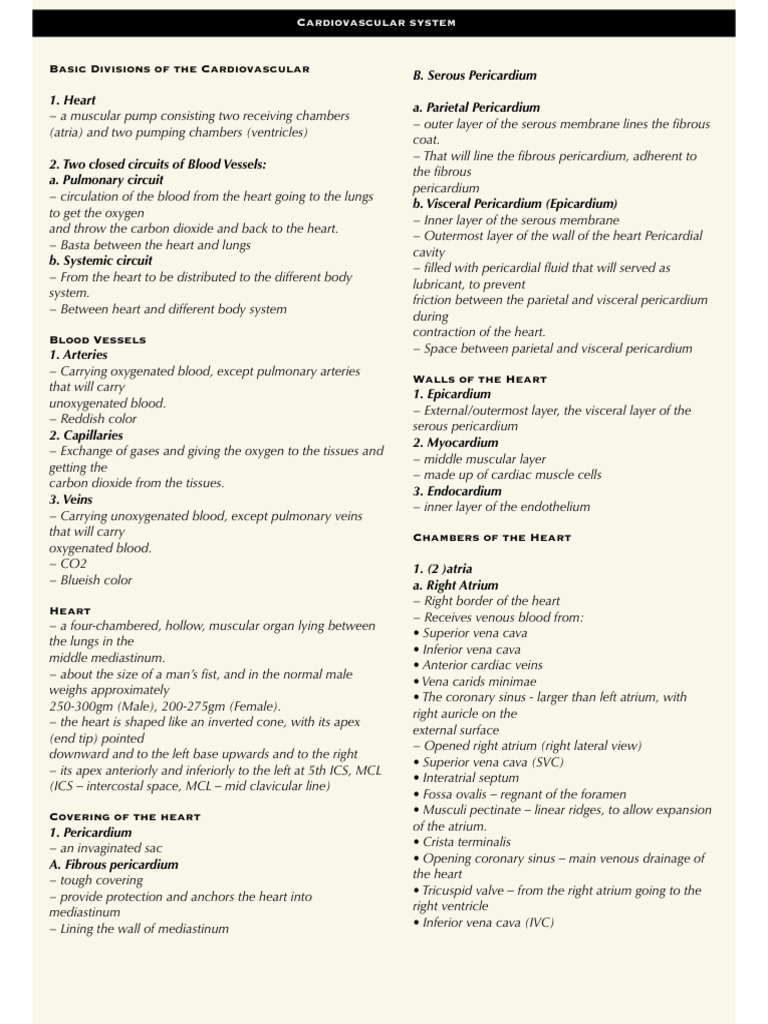 CVS | PDF | Heart Valve | Heart