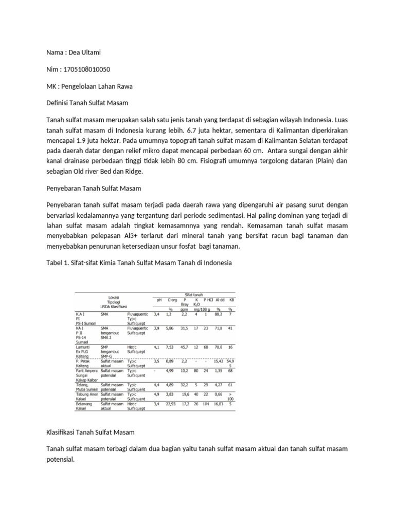 Pengelolaan Tanah Sulfat Masam di Indonesia | PDF