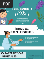 Microbiologia Cuestionario | PDF | Escherichia coli | Diarrea