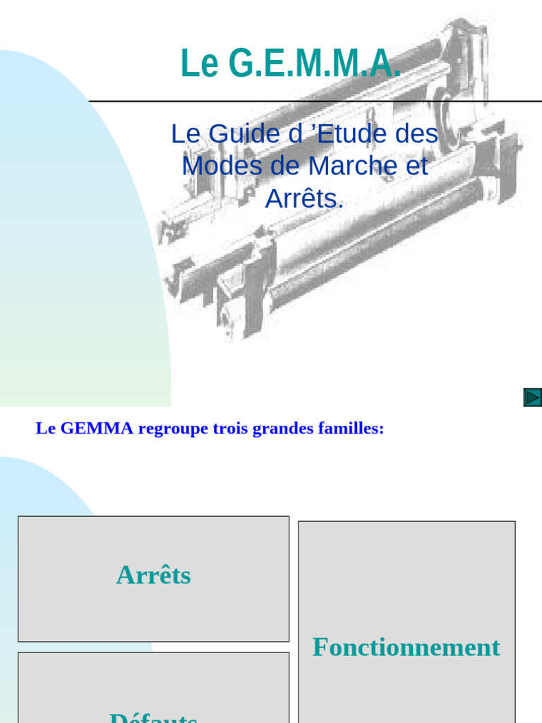 21-Presentation Gemma | PDF