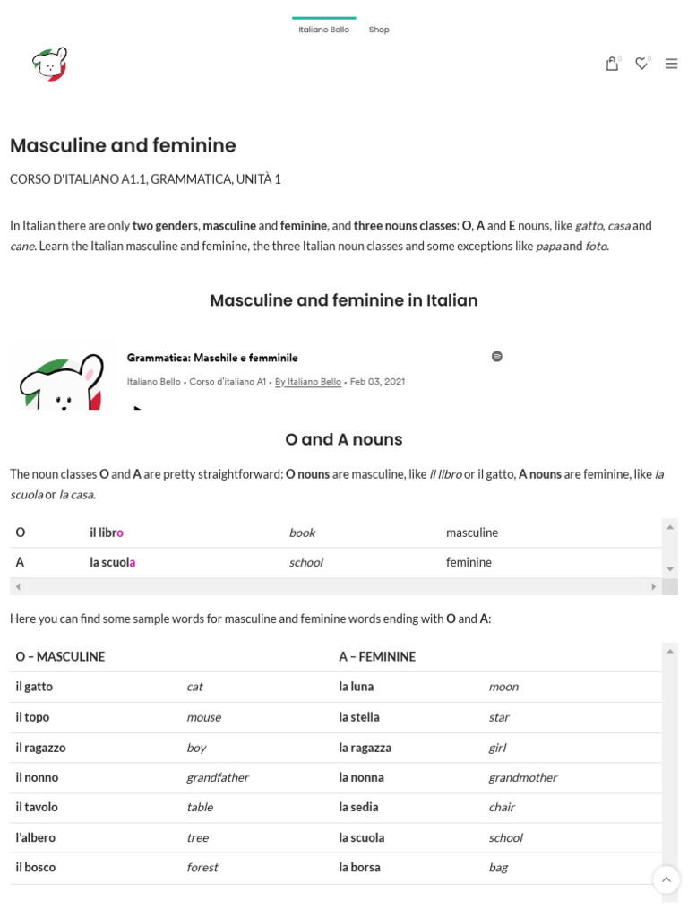 Italian Masculine and Feminine Nouns | PDF | Grammatical Gender ...