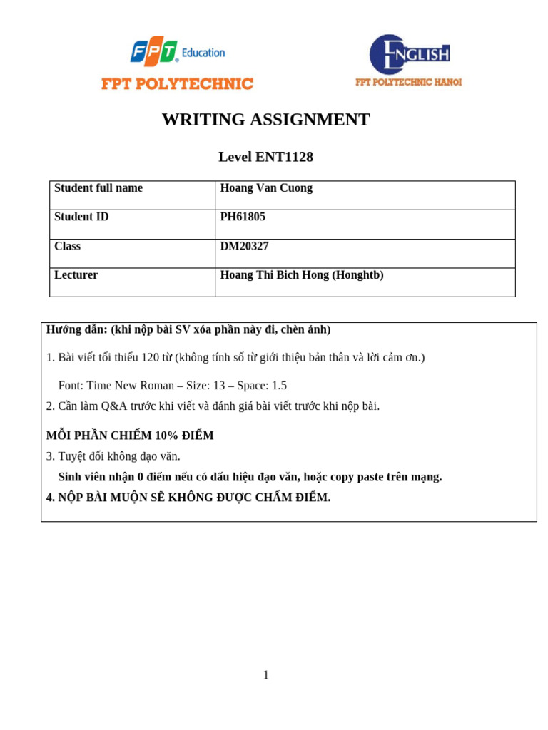 Writing Assignment: Level ENT1128 | PDF