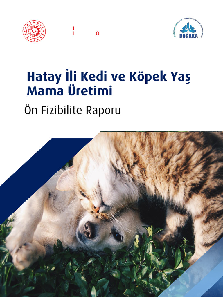 Hatay Ili Kedi Ve Kopek Yas Mama Uretimi On Fizibilite Raporu2021 | PDF