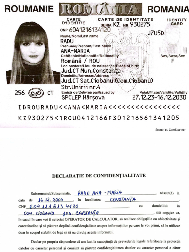 Radu Ana-Maria-cerere Operator Calculator Votare | PDF