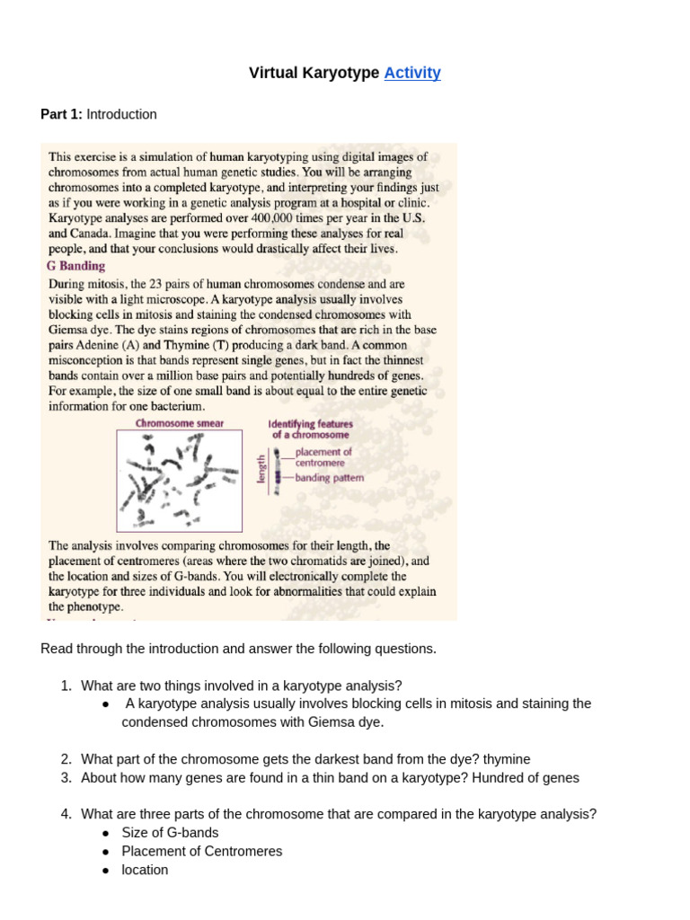Krishna Koushal Reddy Yeturu - Virtual Karyotype Activity | PDF ...