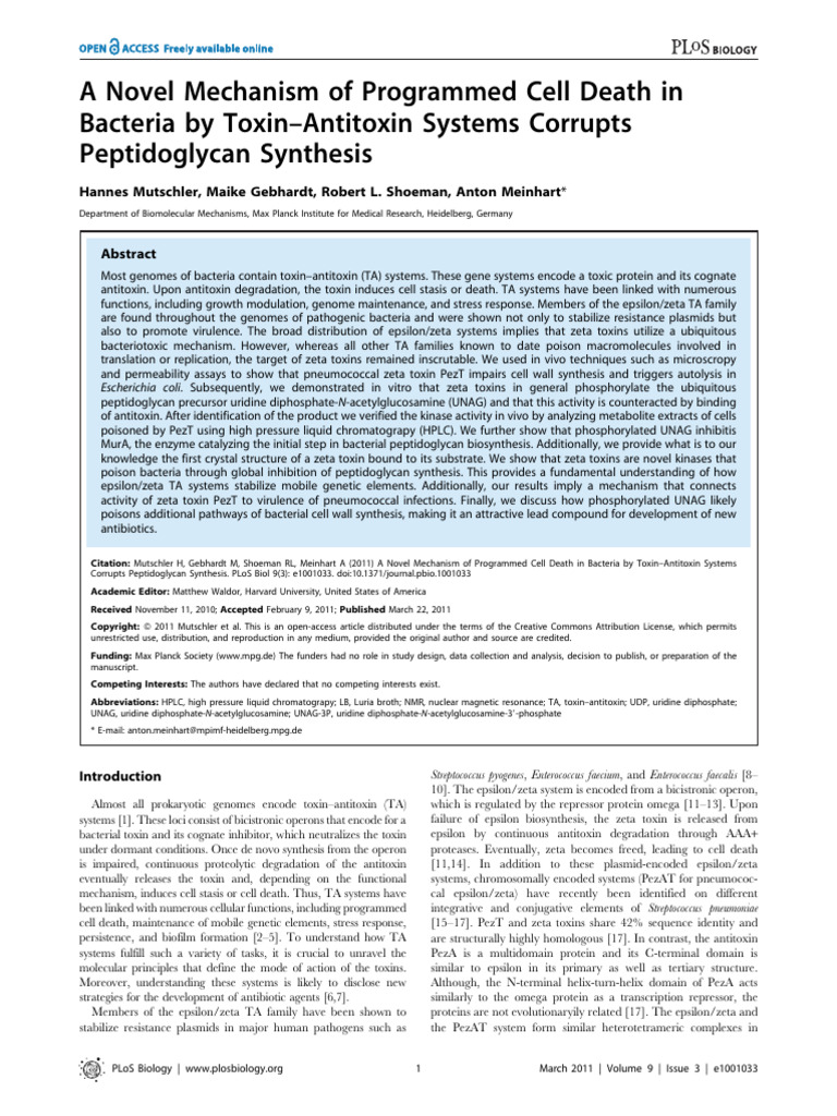 A Novel Mechanism of Programmed Cell Death in Bacteria by Toxin ...