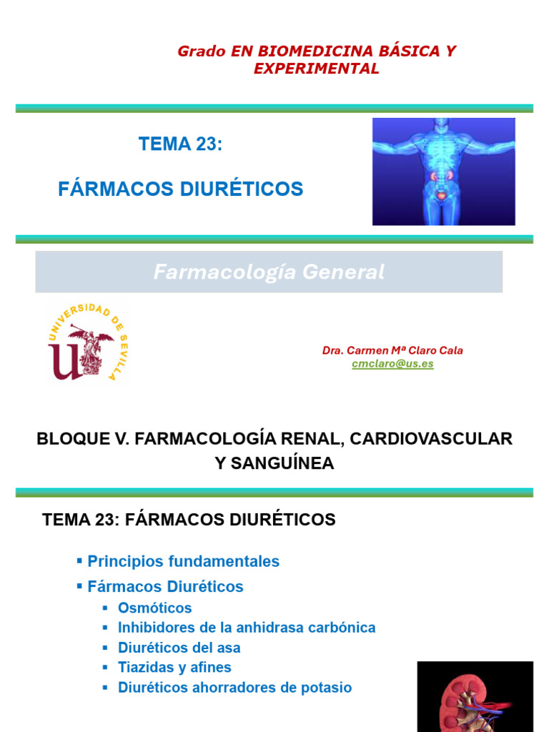 Farmacología de Diuréticos: Tipos y Usos | PDF | Riñón | Sistema urinario