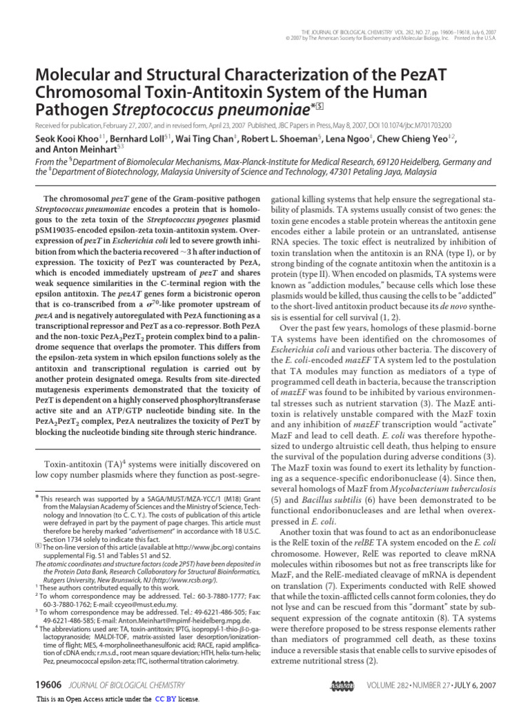 Molecular and Structural Characterization of The PezAT Chromosomal ...