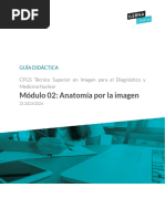 Digestión: Bolo, Quimo y Quilo | PDF | Digestión | Tracto gastrointestinal