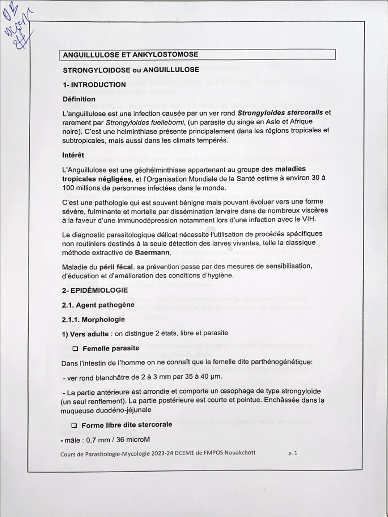 Anguillulose Et Ankylostomose | PDF