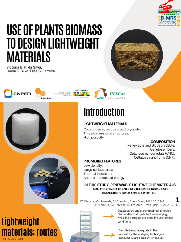Lightweight Biomass-Based Foams | PDF | Foam | Porosity