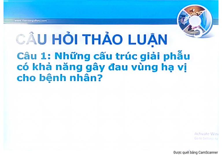 Cls Pdf