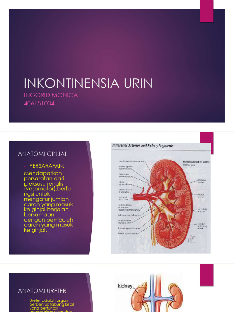 PPT Inkontinensia Urin | PDF