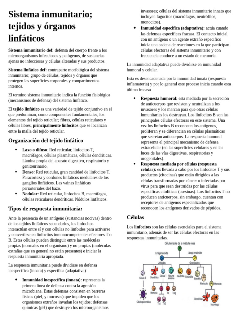 Sistema Inmunitario | PDF | Ganglio linfático | Sistema inmune