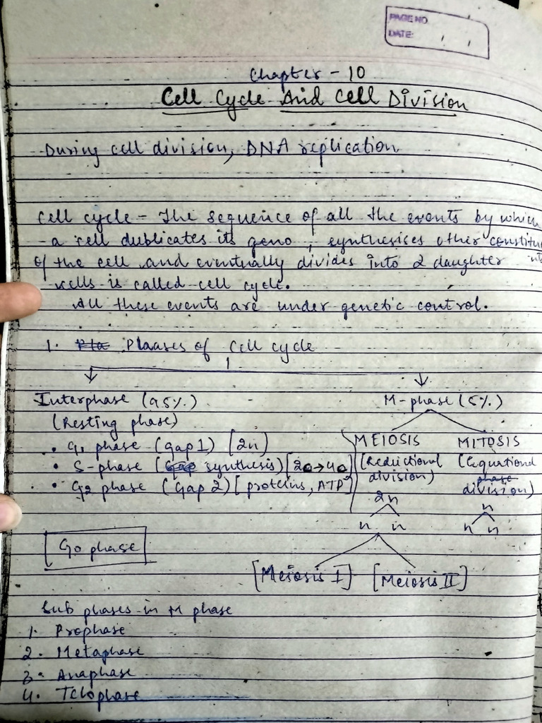 Cell Cycle and Cell Division | PDF | Cell Biology | Cell Cycle