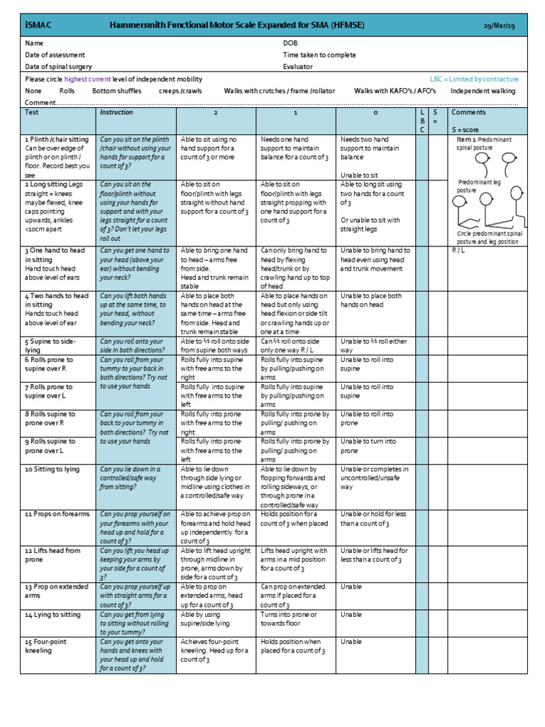 HFMSE 2019 Worksheet - 0 | PDF