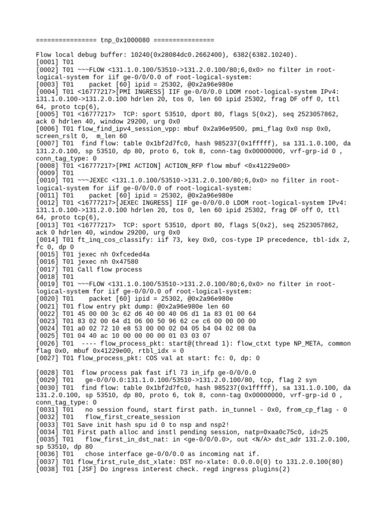 Flow Session Debug Report | PDF | Transmission Control Protocol | Network Protocols