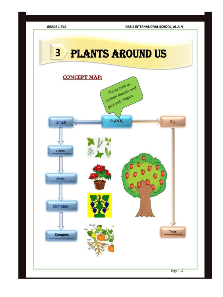Plants Chapter 3 | PDF