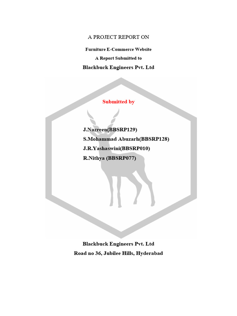 FSD Sample Document | PDF | Websites | Online Shopping