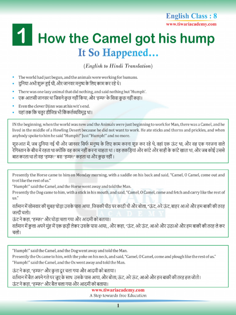 8 English Supplimentry Translation Chapter 1 | PDF