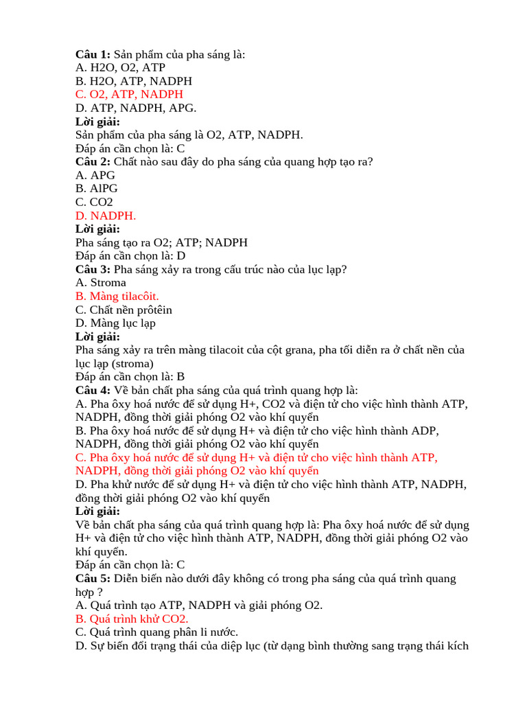 ĐA ÔN TẬP SINH 11 HK1 | PDF