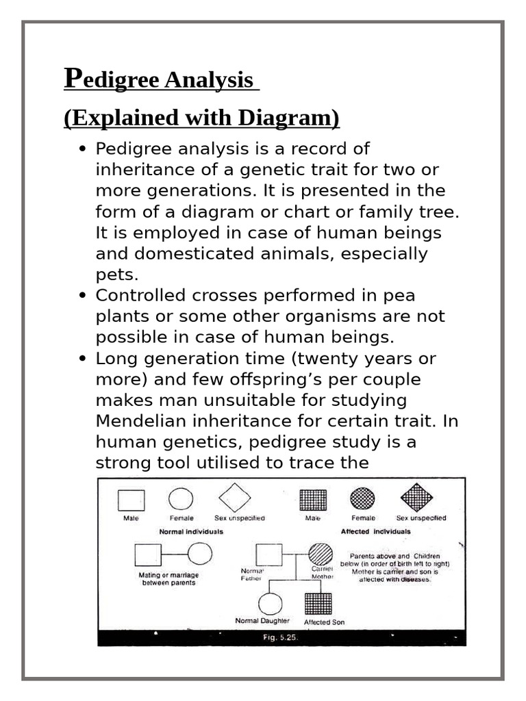 Pedigree Analysis Explained | PDF