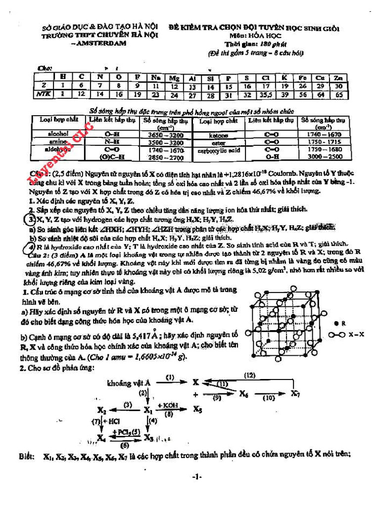 Đề kiểm tra chọn đội tuyển HSG môn Hóa- THPT chuyên AMSTERDAM năm 2024-2025 | PDF