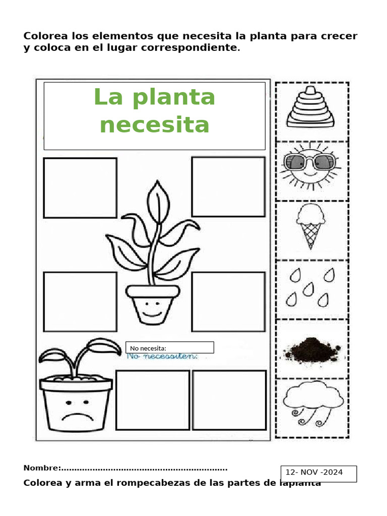 Hojas de Trabajo Las Plantas | PDF