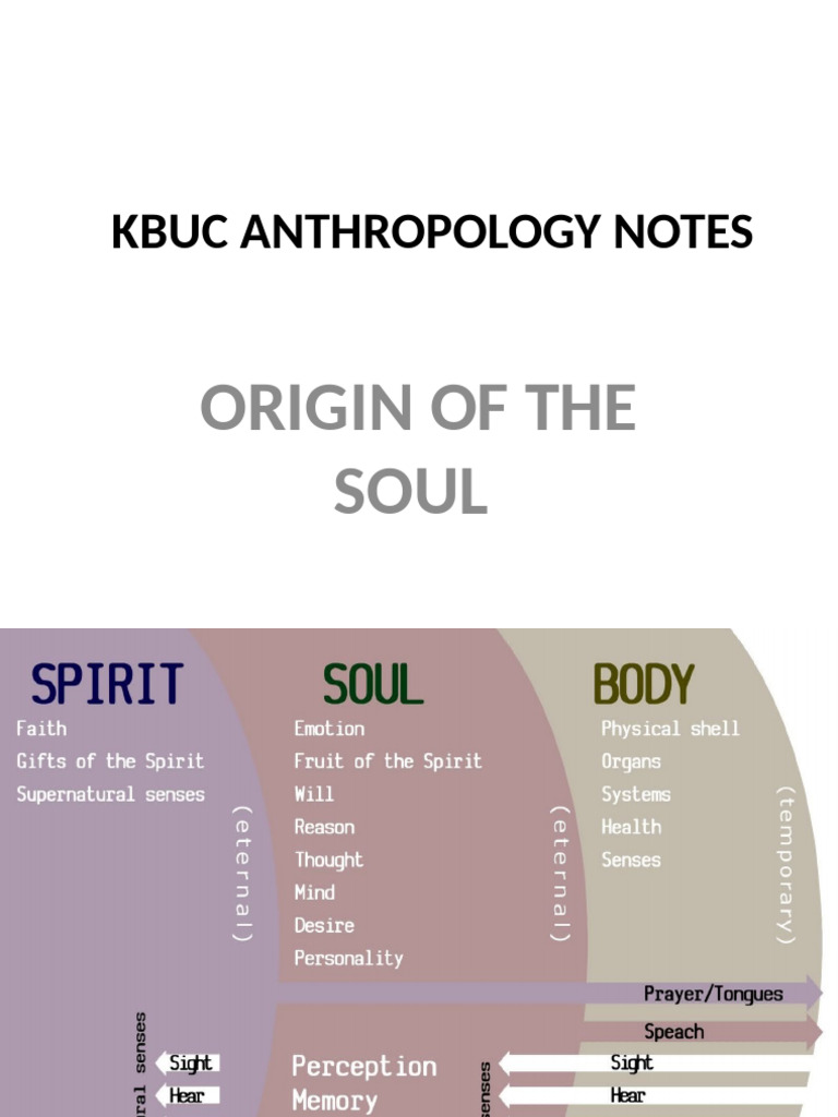 Kbuc Anthropology Notes | PDF | Eternal Life (Christianity) | Soul