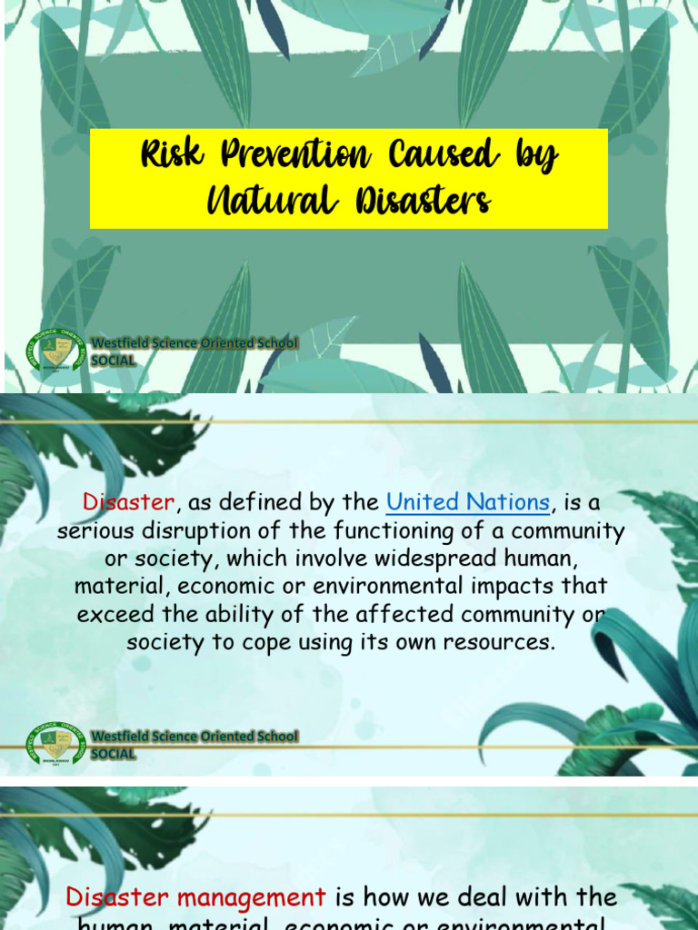 Understanding Disaster Risk Reduction | PDF | Emergency Management ...