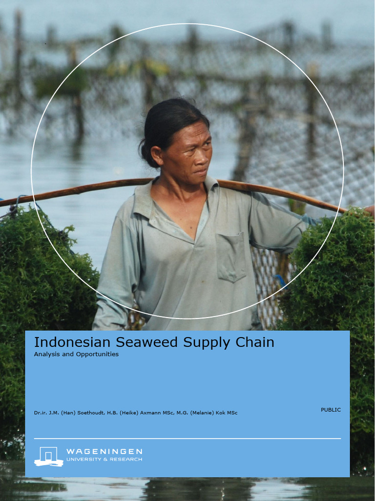 Indonesian Seaweed Supply Chain Analysis | PDF | Seaweed | Agar