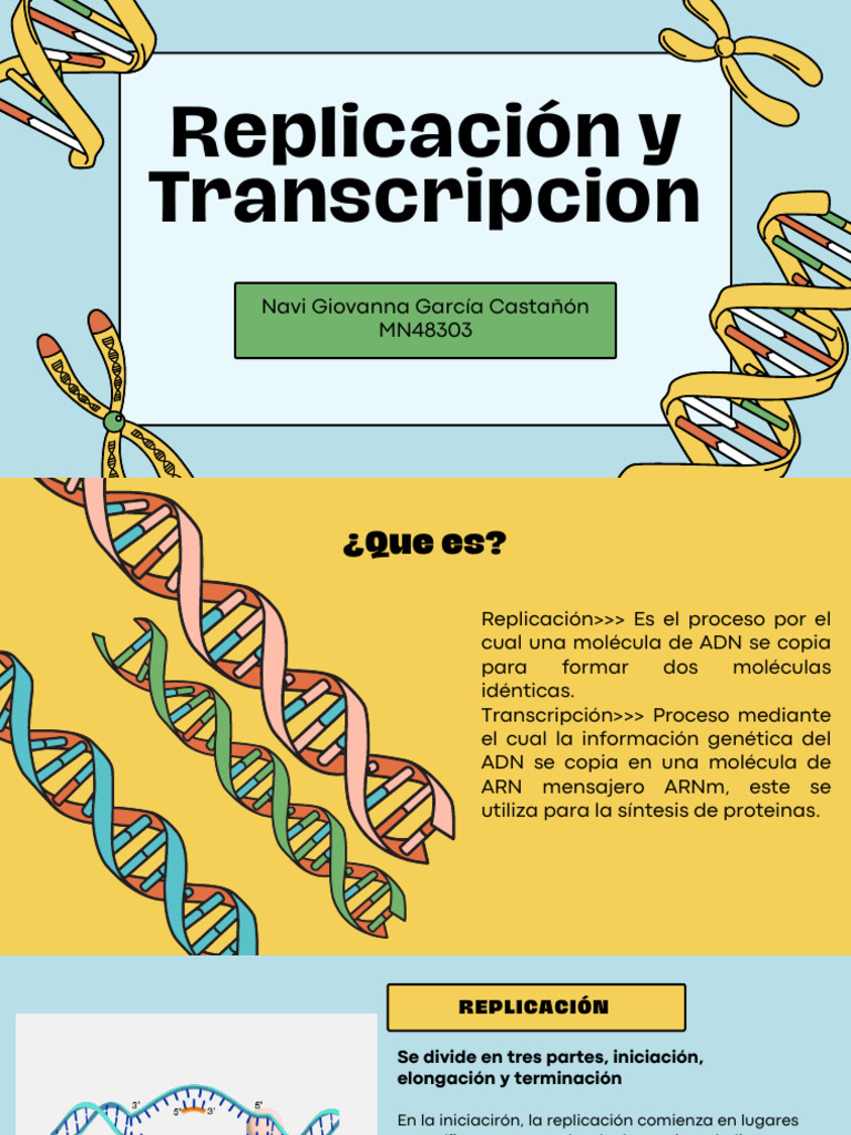 Replicación y Transcripcion Adn Presentación | PDF