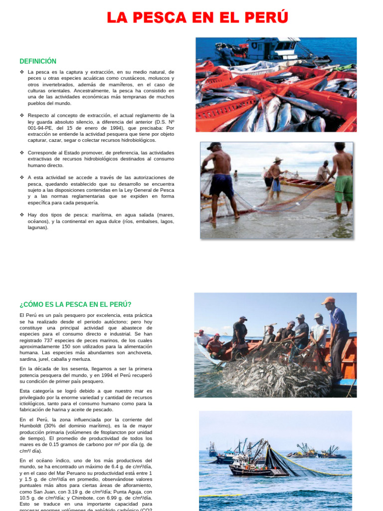 03 - La Pesca | PDF | Perú | Mar