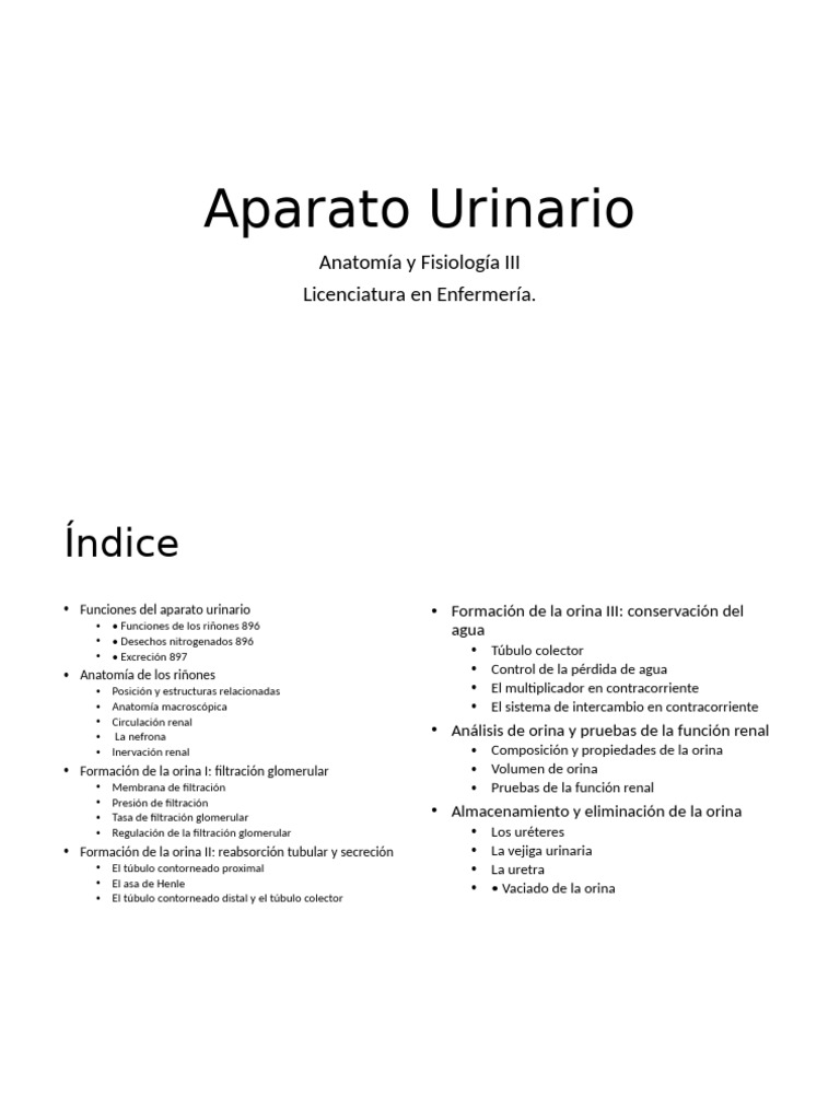 Aparato Urinario | PDF | Riñón | Sistema urinario