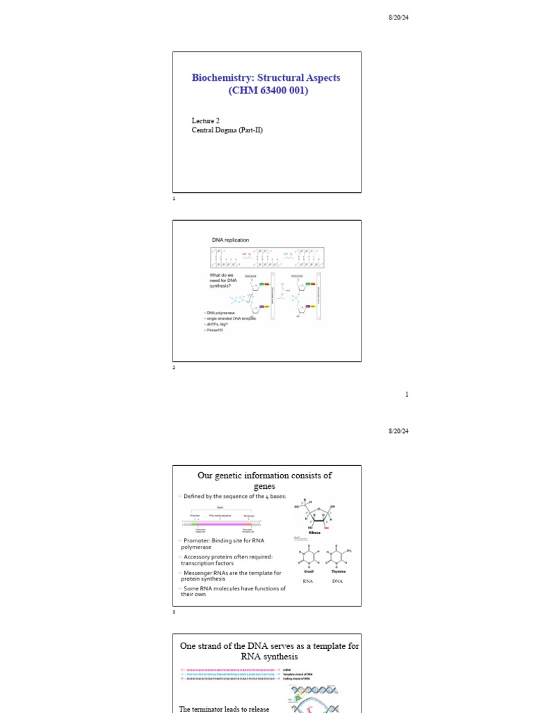 Central Dogma and Protein Synthesis Overview | PDF | Amino Acid | Proteins