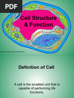 Labeled Plant Cell Structure and Functions | PDF | Cell (Biology ...